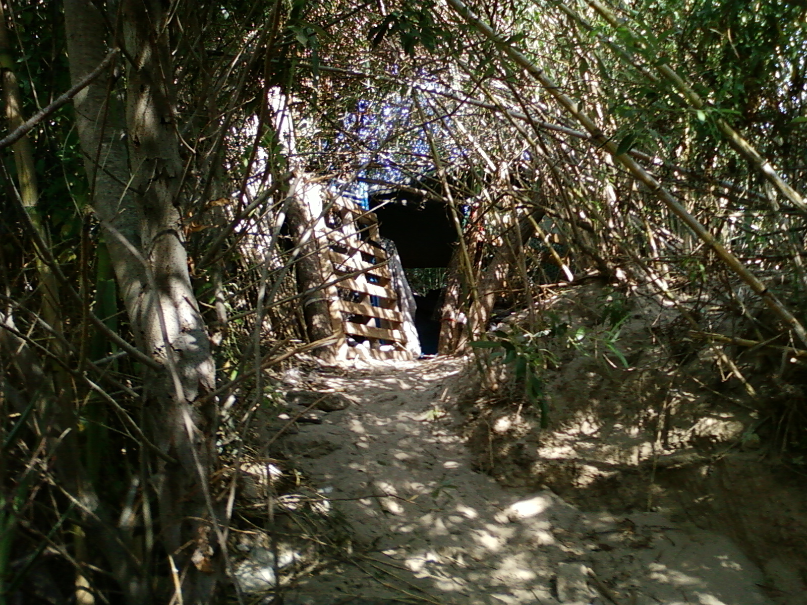 1000 Hikes in 1000 Days: DAY 232 - 234: Independence Day - Homeless Hideout
