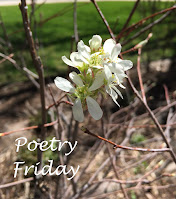 TeacherDance: Poetry Friday - What It Is