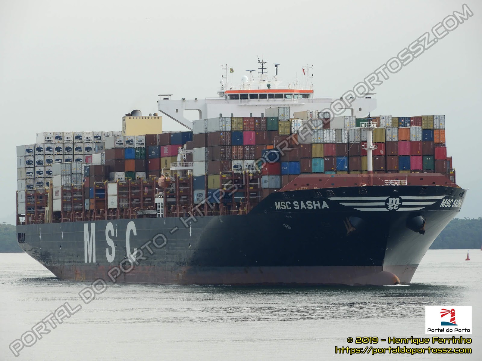 MSC Sasha - Portal do Porto