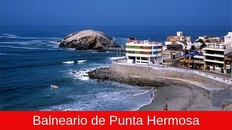 Animales y Plantas de Perú PLAAN: Perú reconoce su primer ecosistema ...