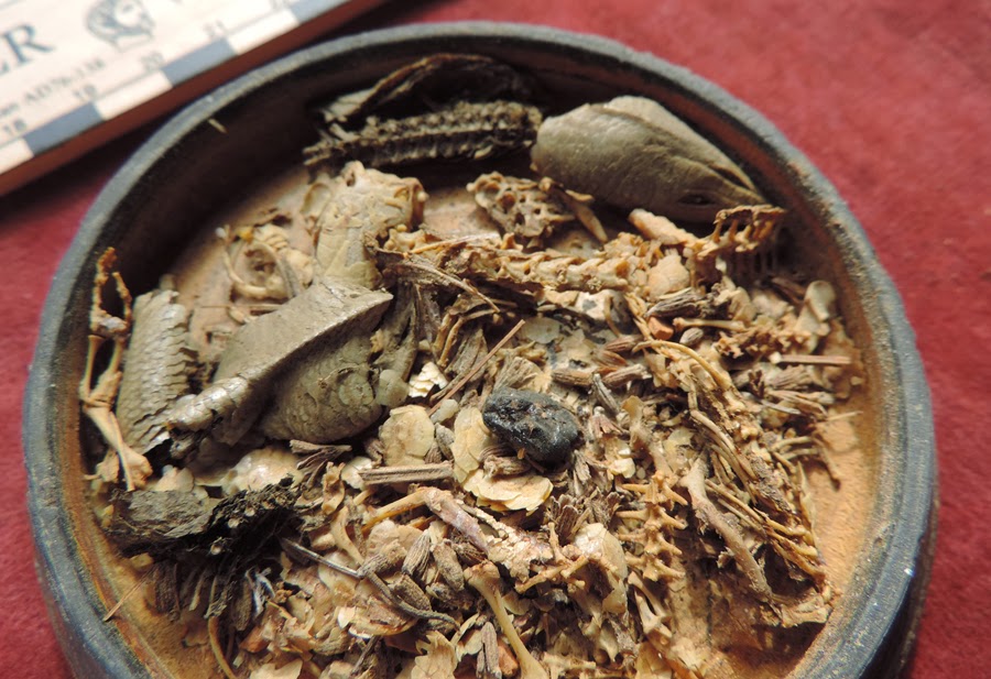 Colecţia de Istorie a Farmaciei din Cluj: Elixirul dragostei