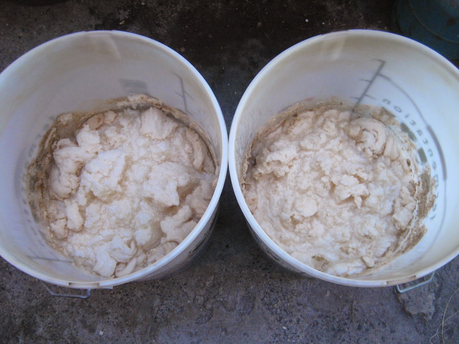 Cervezal: Barm y la cuchara mágica