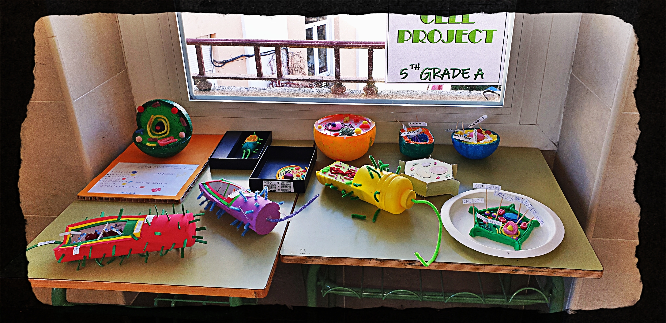 CEIP. AMADOR DE LOS RÍOS: CELL PROJECT 5th Grade A