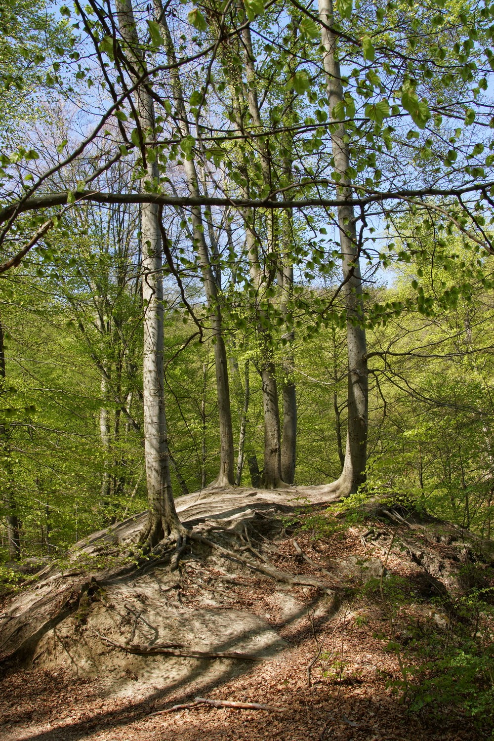 Rám-szakadék, Dobogókő - Kósza Krónikák - Túra, utazás, felfedezés ...