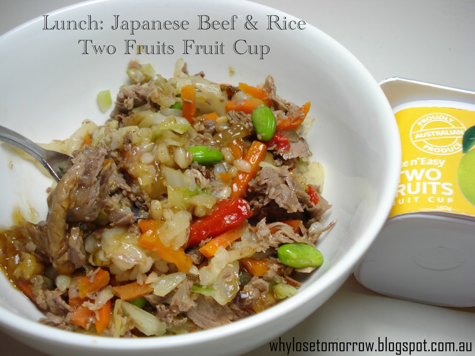 Why Lose Tomorrow?: Lite n' Tasty - Weight Loss Week Nine Day Six ...