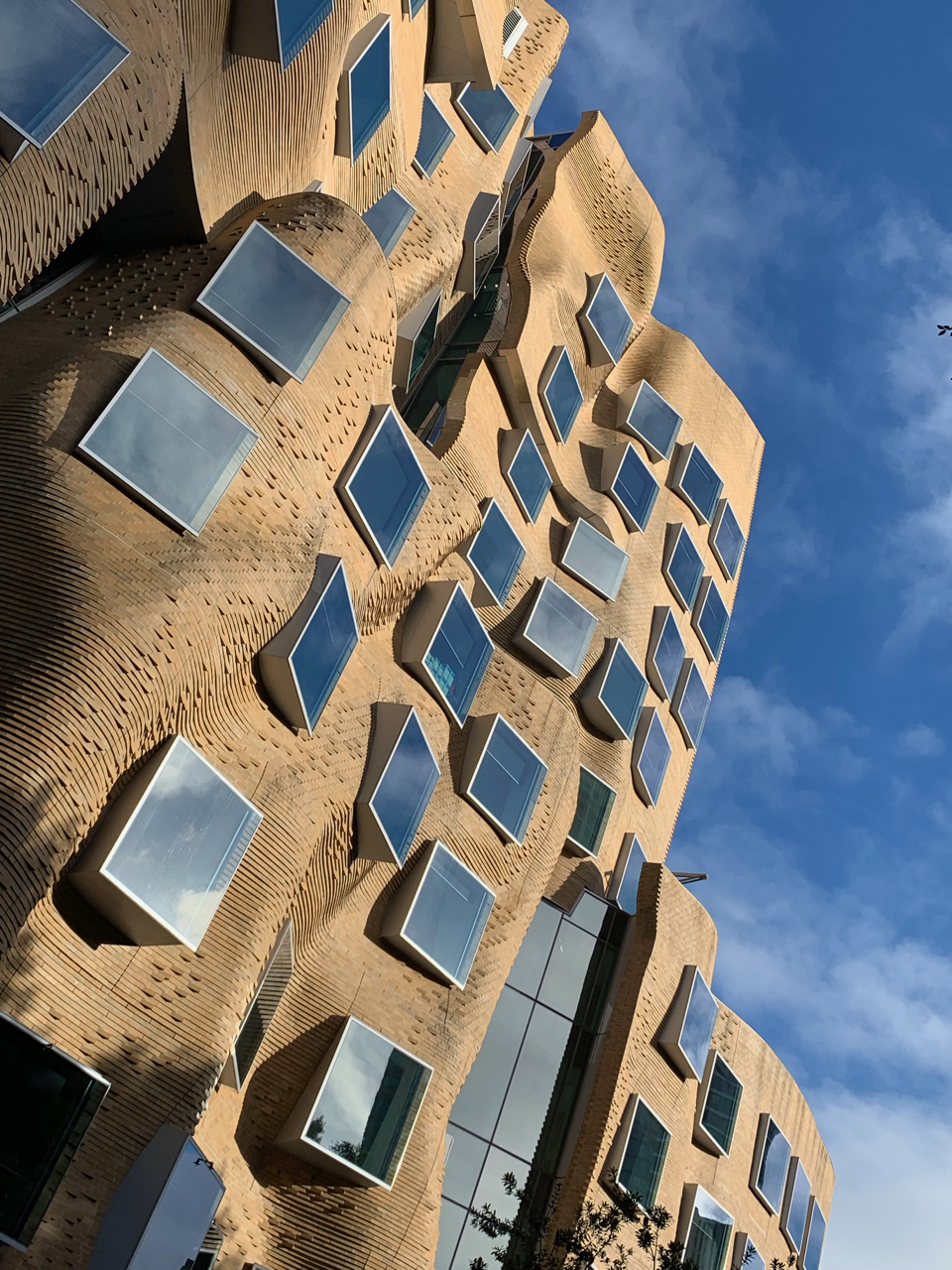 Quilts, here, there and everywhere