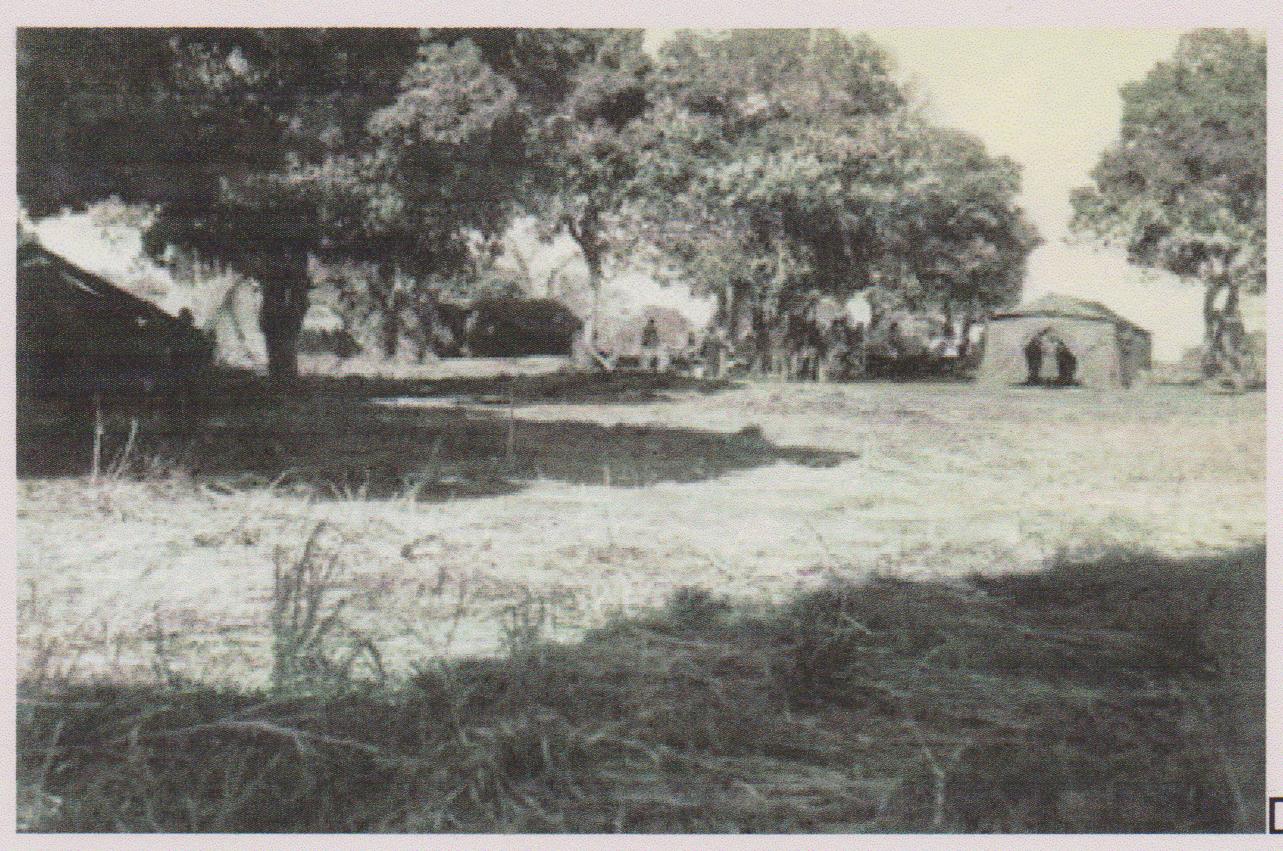 CCAV 2415: MATIPA...