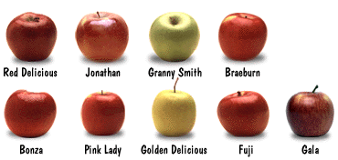 8 Jenis Apel dan 7 Manfaat Konsumsi Buah Apel yang Teratur