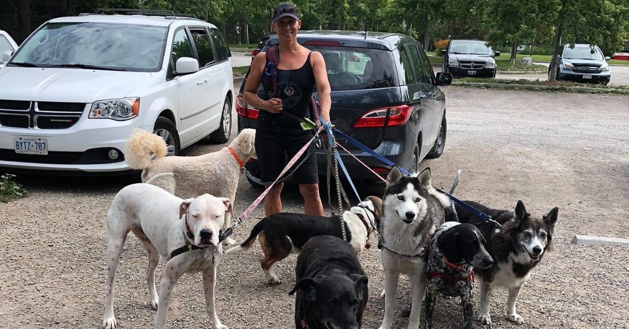 Professional dog walker shares joys, challenges, & true stories about ...