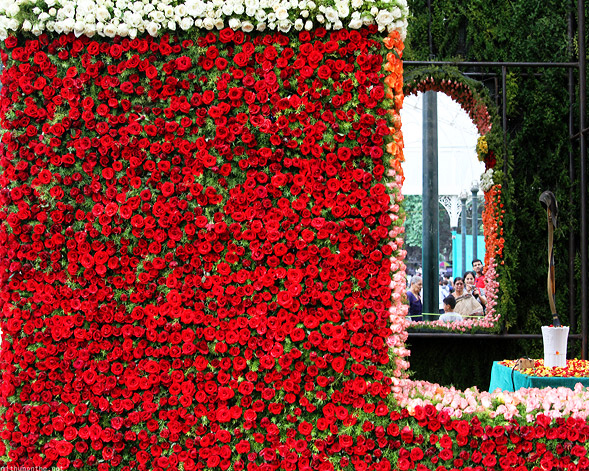 World Tour And Travel Guide: Lal Bagh