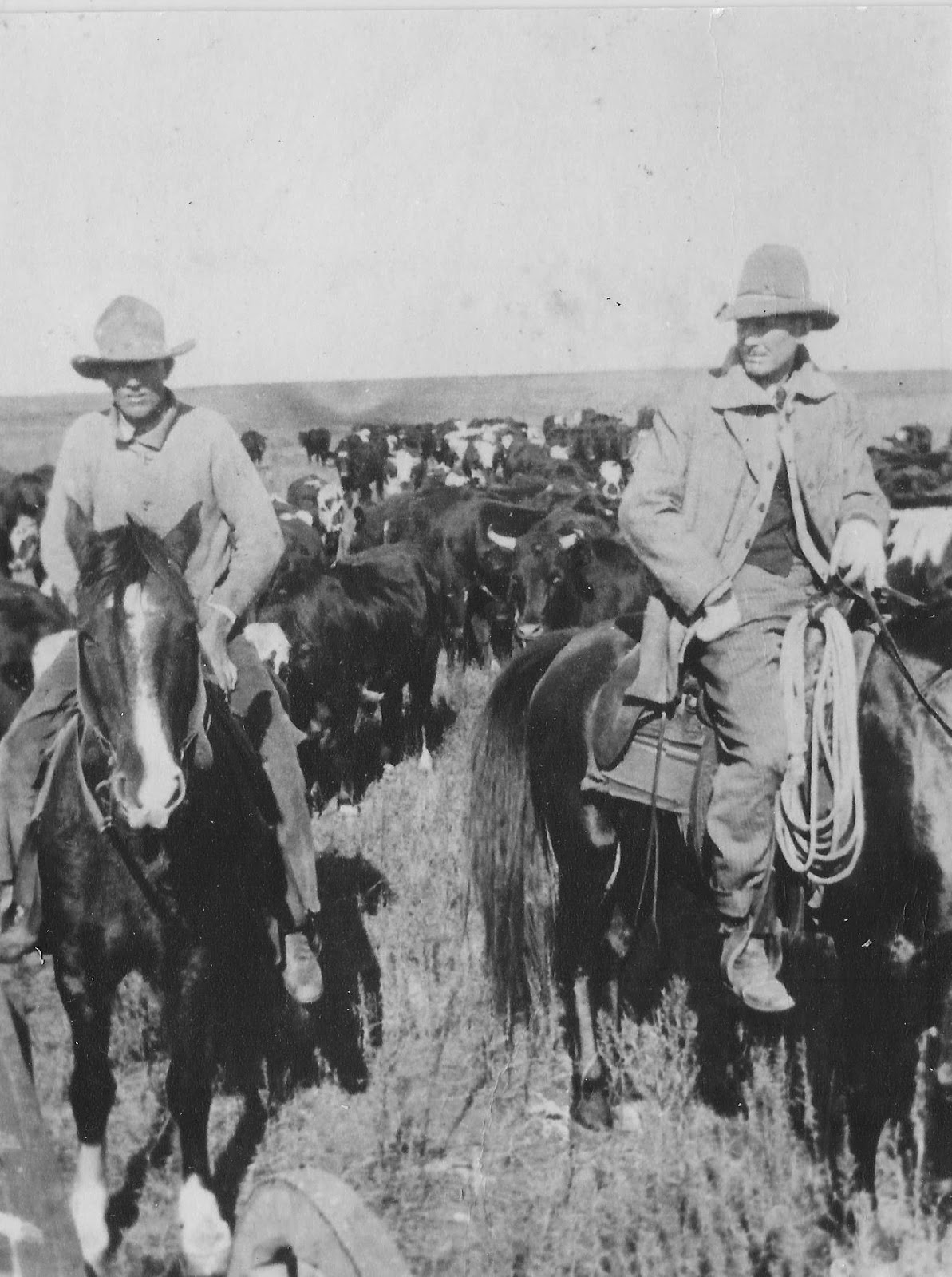 Catch up on Geary County History!: Junction City and the Cattle Drives