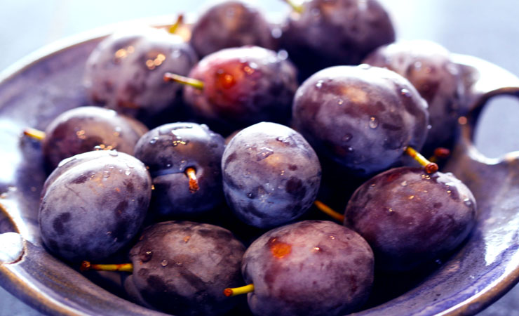 NUTRIKALP: Top Seven Benefits of Prunes and Prune Juice