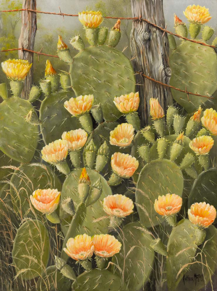 J.R. Mooney Galleries of Fine Art: New Arthur McCall Paintings now at J ...