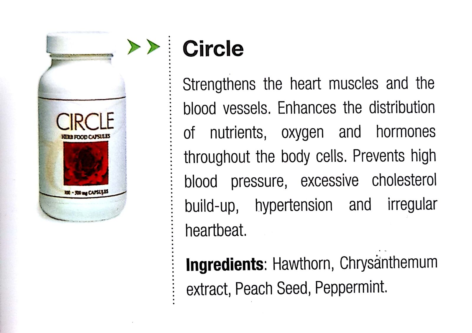 Raine ~ Wholistic Lifestyle: Fine Tune your 9 Main Body System with DNP ...