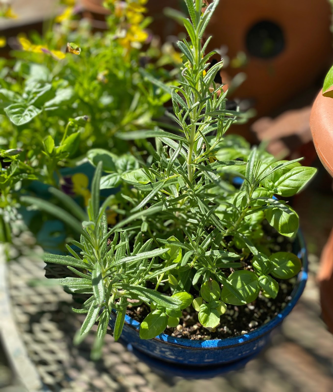 Jan Patek Quilts: Blockheads - Block 23