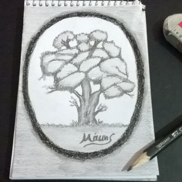 Daily Drawings - Tree in oval frame