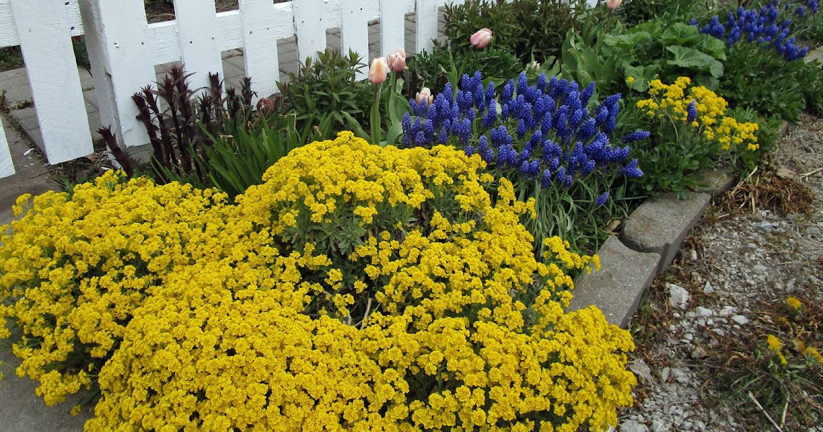 Garden Fancy: Happy Springtime!