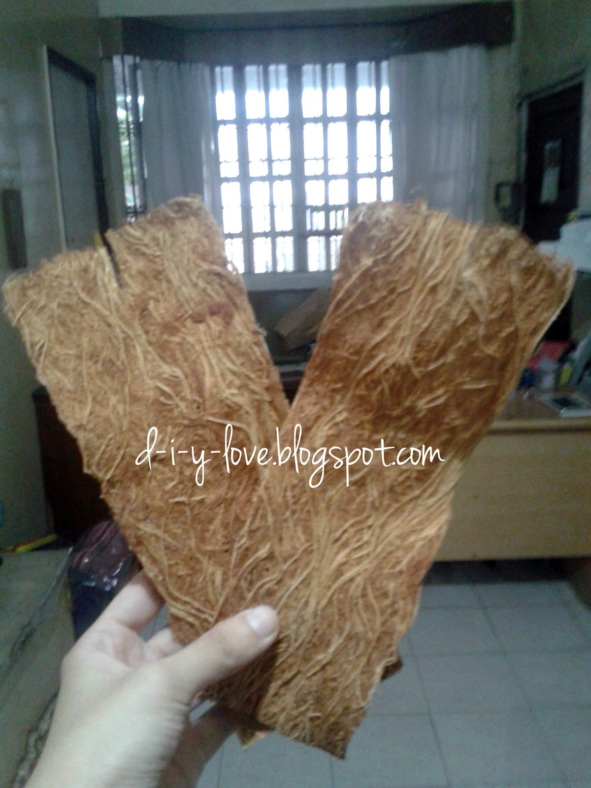 DIY Love: How to Make Your Own Gugo Shampoo (with step-by-step pictures)