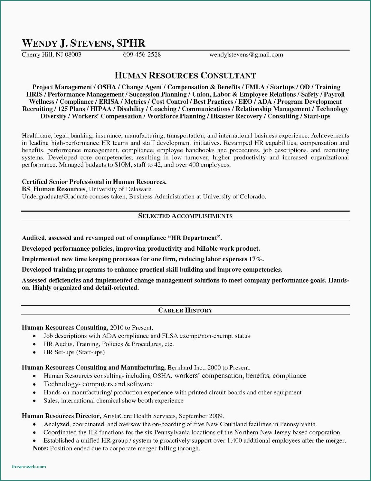 Safety Director Resume Summary 2019 Safety Director Resume Sample 2020