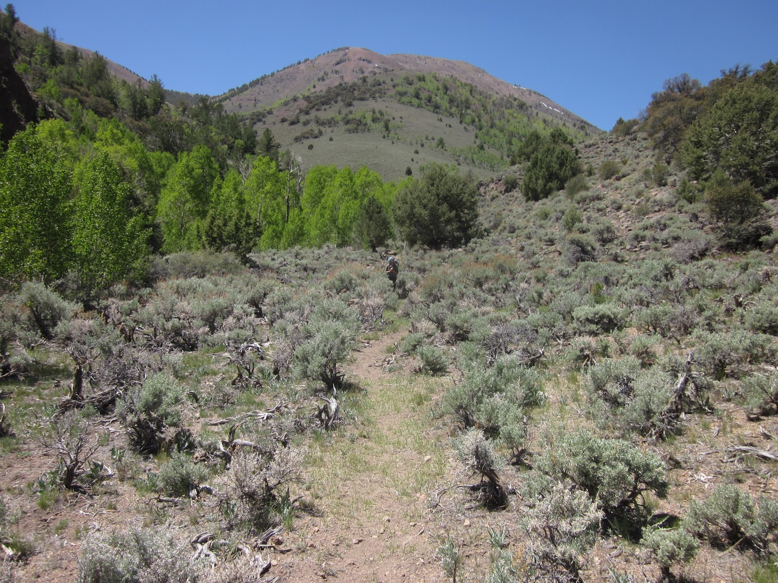 Scootchin' Sand: Alta-Toquima Wilderness