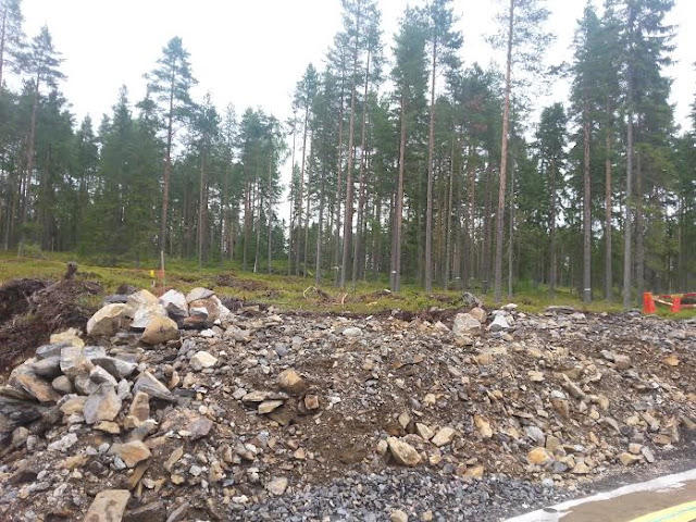 Tomtfarfar berättar: Kvarteret Silverarken