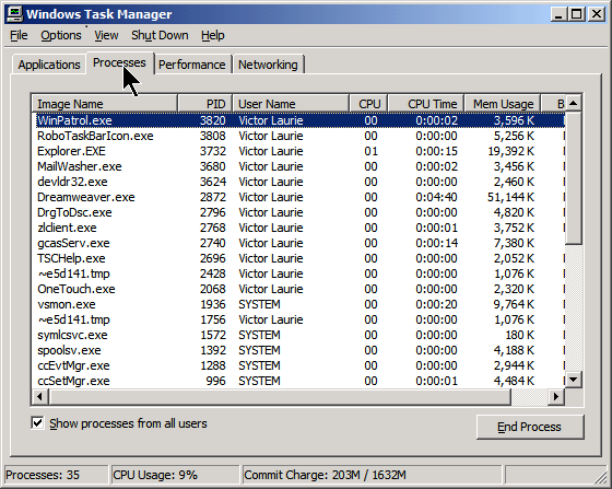 Windows XP Texpert: Using Task Manager