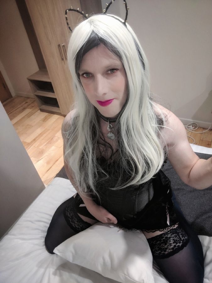 CDzinha do Sul: maio 2020