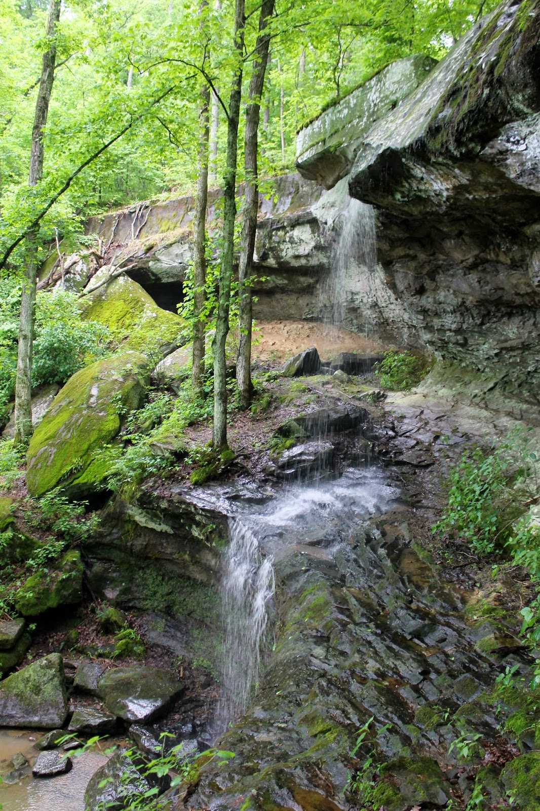 Experiencing Illinois: Rocky Bluff Trail