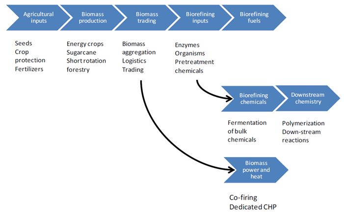Biotechnology – The way towards Bio based economy