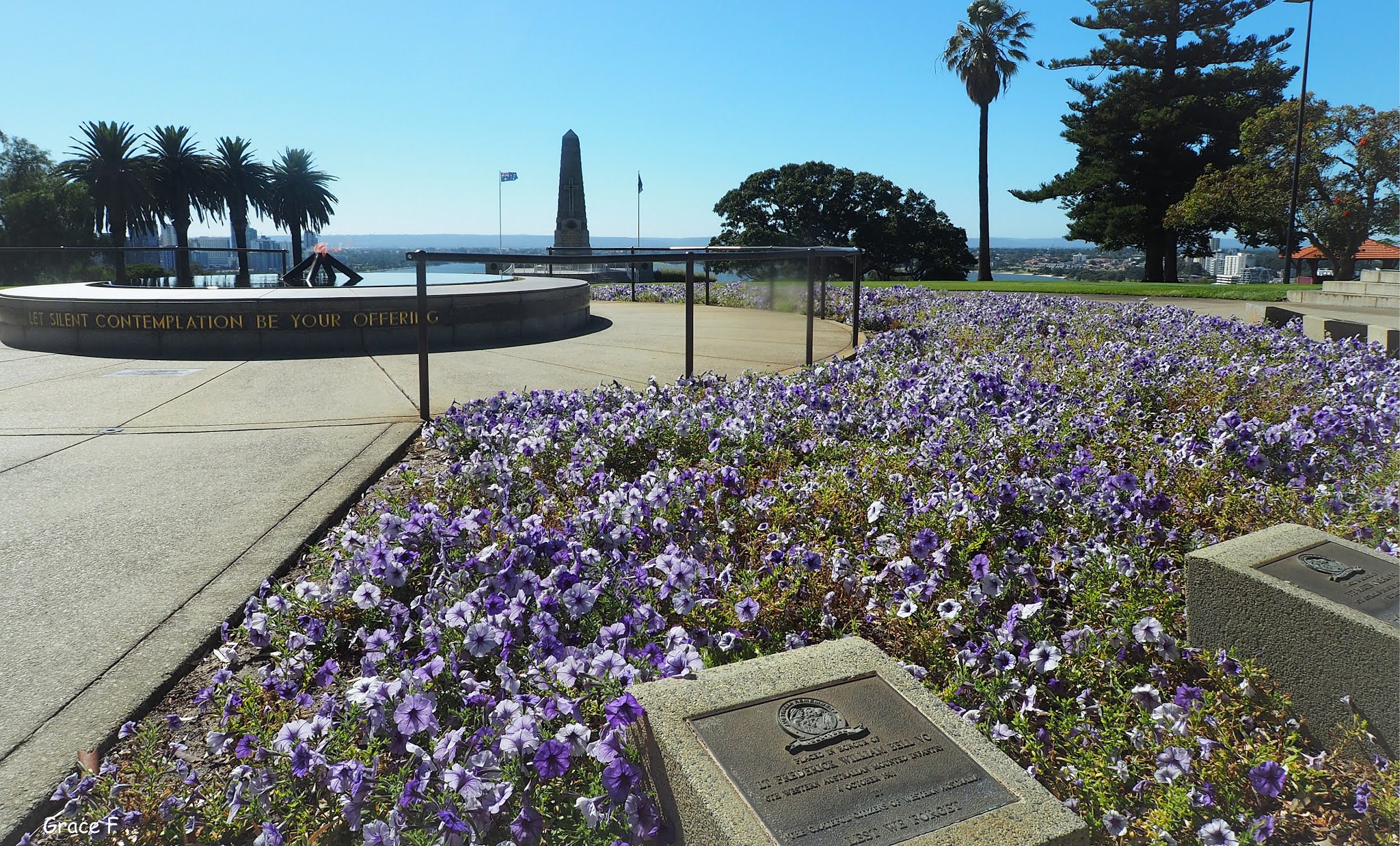Perth Daily Photo : Gija Jumulu.. quite a journey.