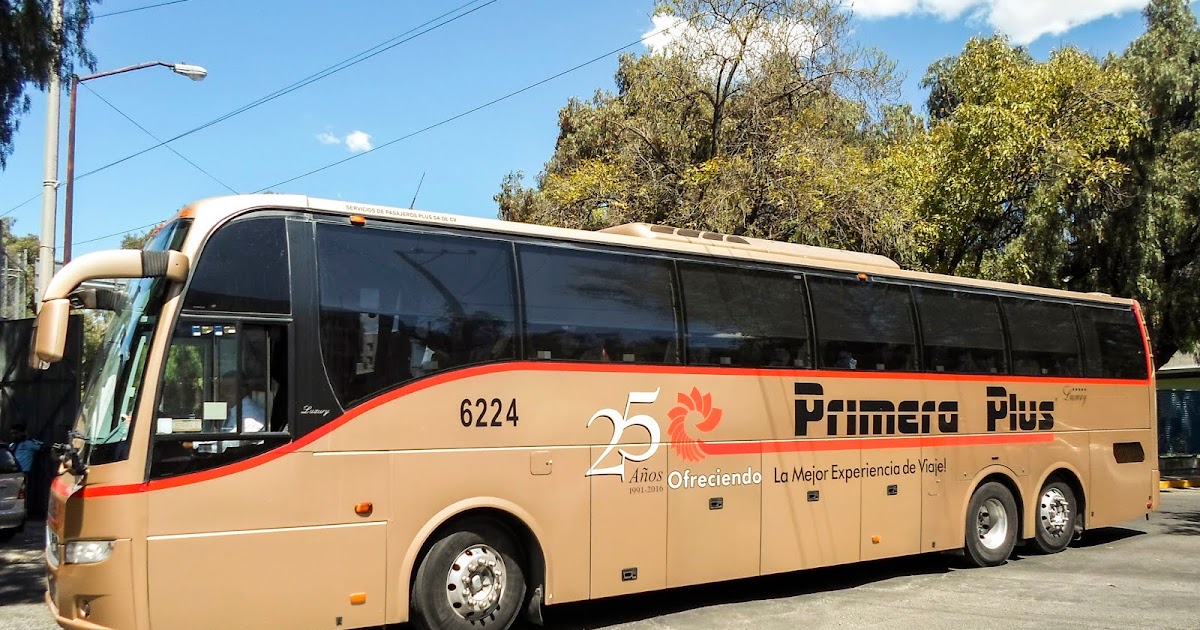 MAXIBUSES: PRIMERA PLUS