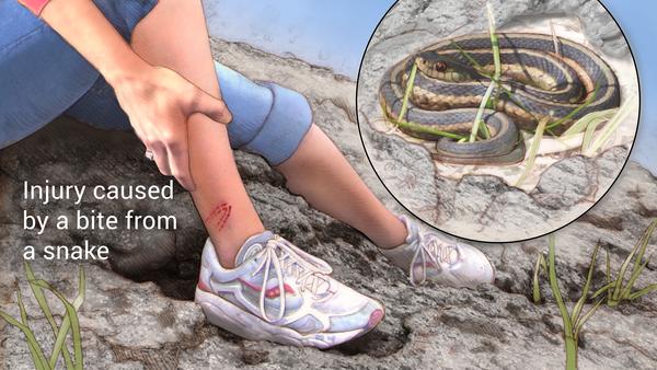 Hela Osu Ayurveda: 2019