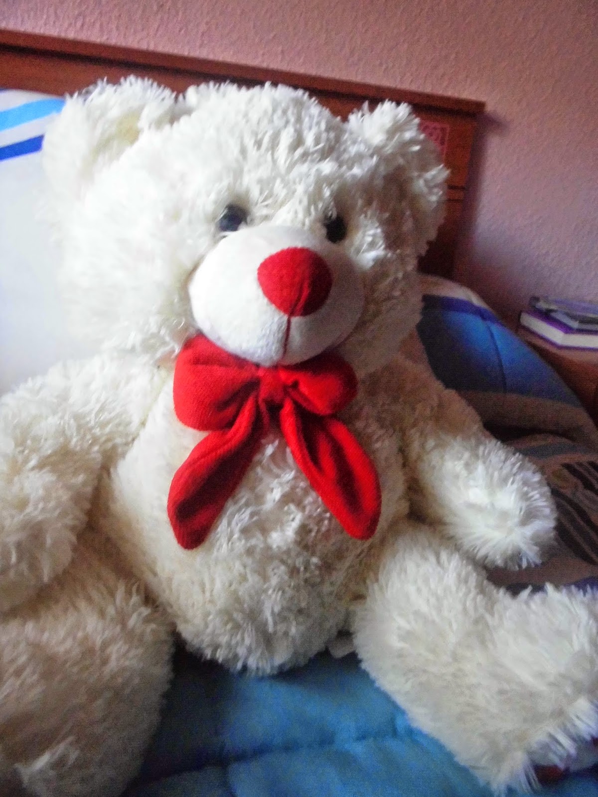 Estilo y hogar: Demostrando tu afecto con un peluche.