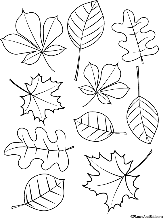 Fall Leaf Coloring Pages ~ Coloring Print