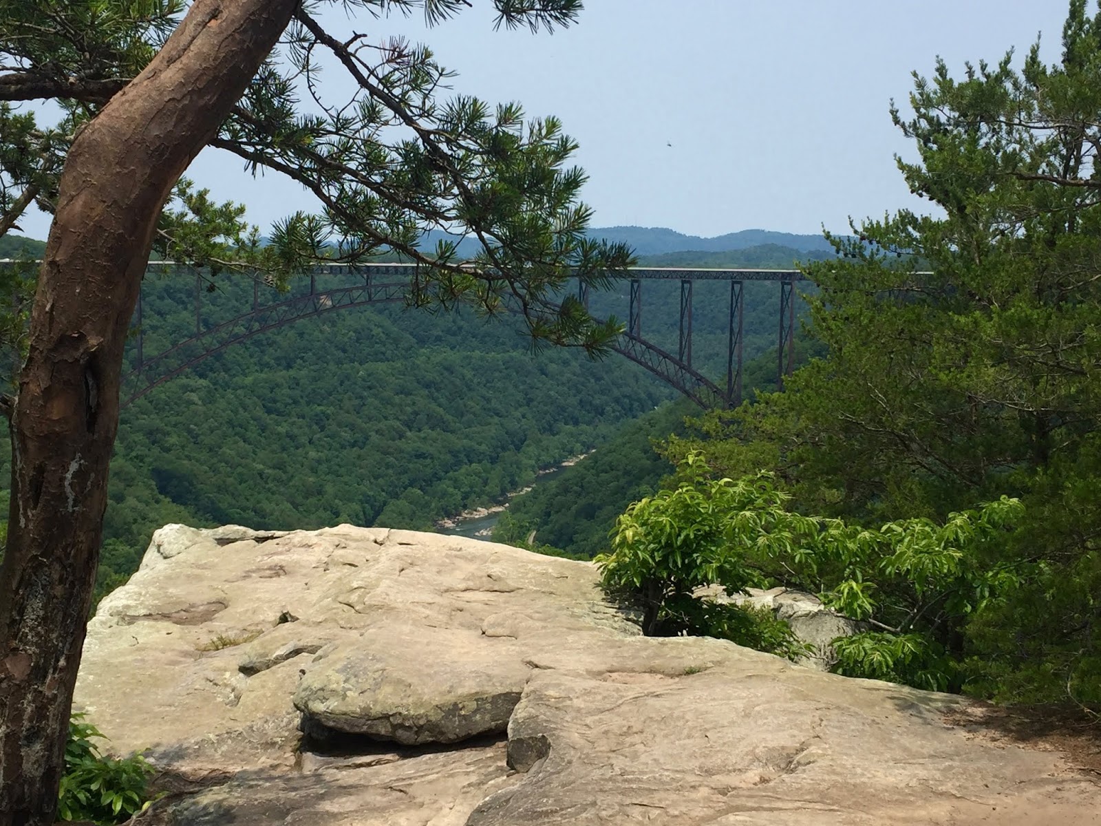 Travel Reviews & Information: New River Gorge in West Virginia: Canyon ...