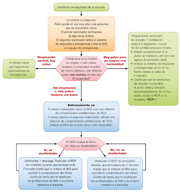 ALGORITMOS DE SOPORTE VITAL BÁSICO (SVB/BLS) PARA NIÑOS Y ADULTOS