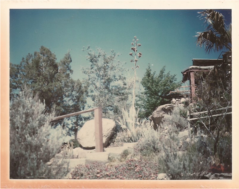 wacky tacky: The Mysterious Chinese Castle of Jacumba: Episode II ...