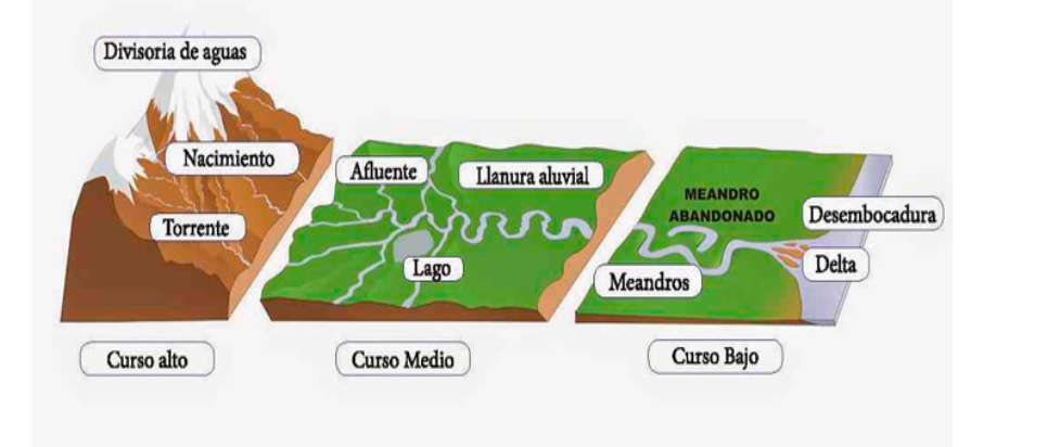 SOMOS 3º A: AGUAS EN LA TIERRA. RÍOS