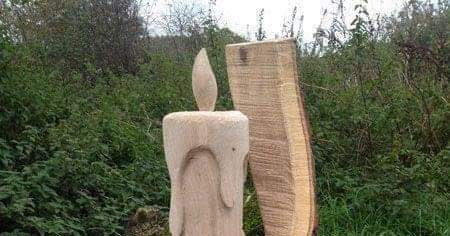 Medicinal Plants of Gilgit-Baltistan: what is salajeet?