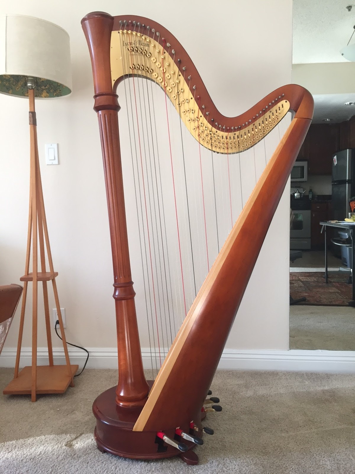 HARP IN LA HARP INFO #2