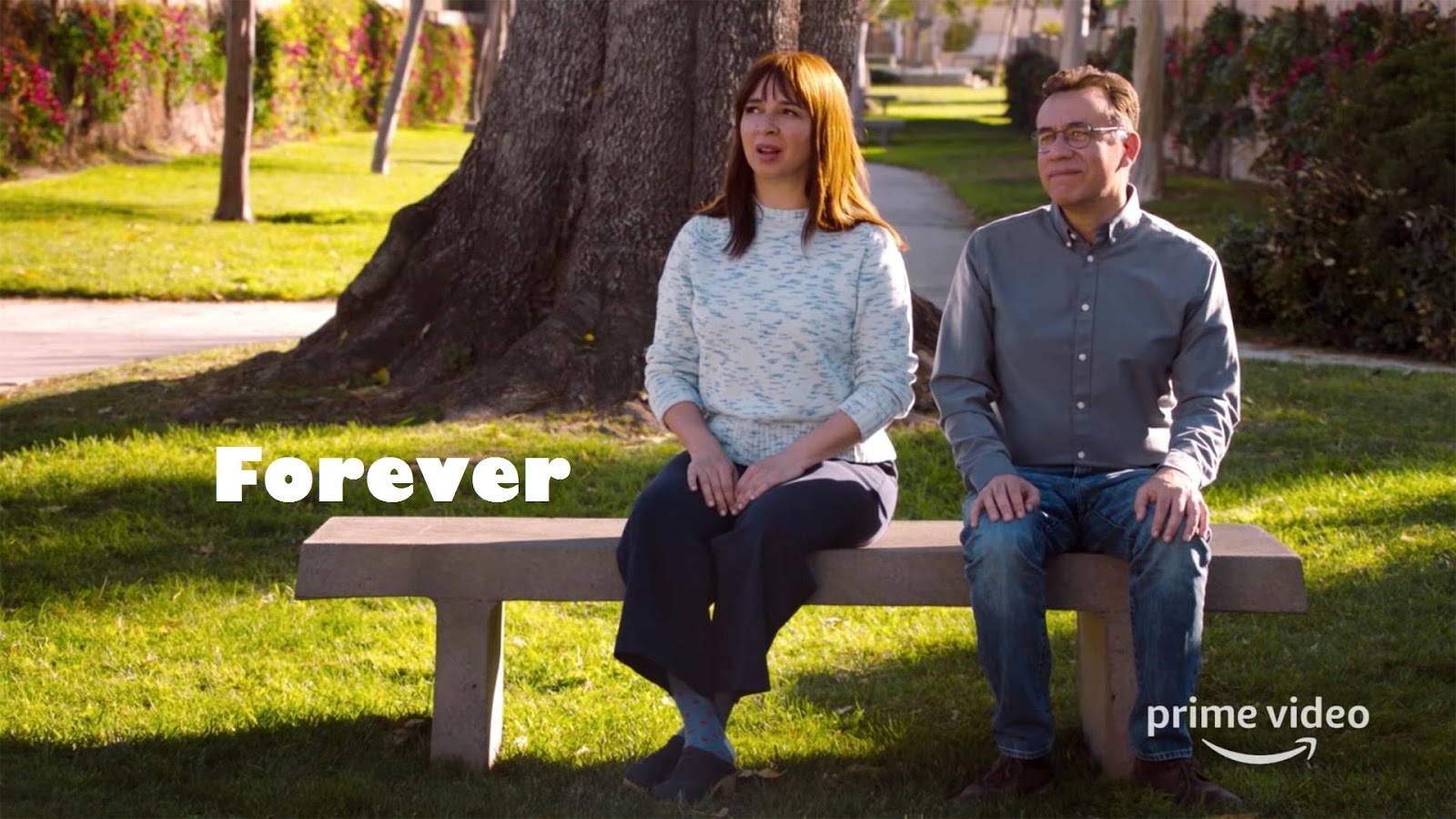 LINTERNA MÁGICA: Series de TV: Forever (2018)