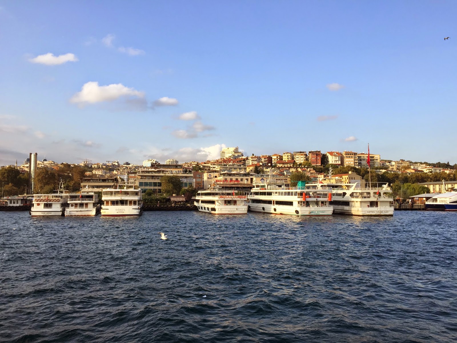 Amelia: Merhaba Turkey! (Istanbul) #Travelmadedifferent