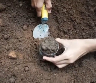 Cara Pengambilan Sampel Tanah untuk pemeriksaan Fisik, biologi, kimia ...