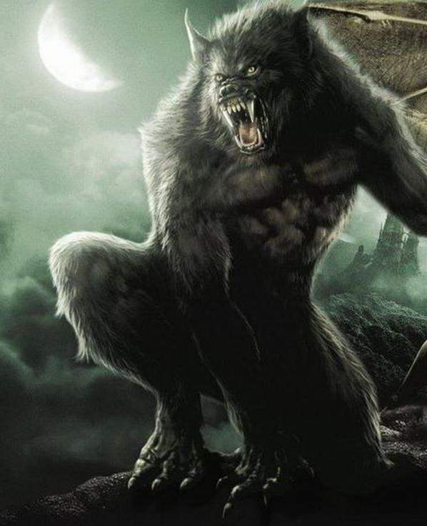 We write stuff: Varulvsfakta- Del 1