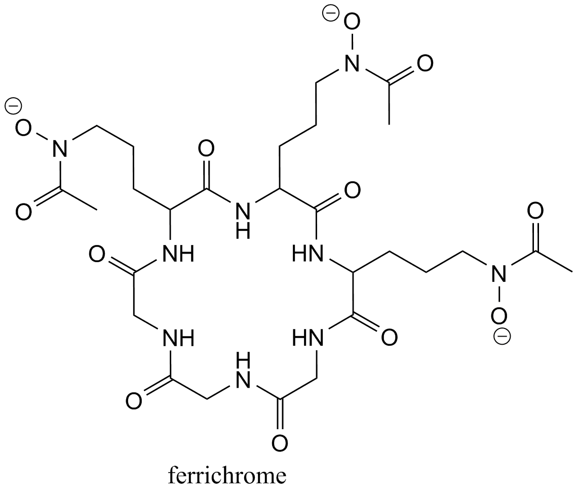 Storage and Transport of Iron in Living Things