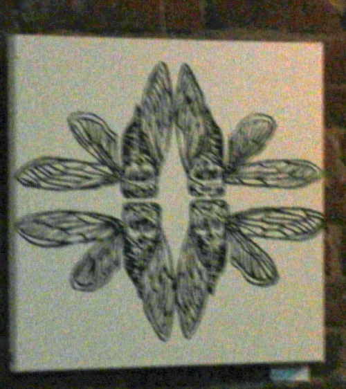 Dislocations: Kayt Hester: Summer & the Magicada