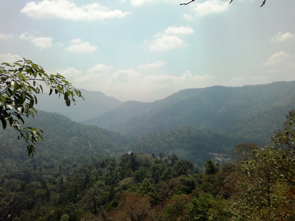 Pamba forest view from Appachimedu - TravelersOutlook: Travelers Photo ...
