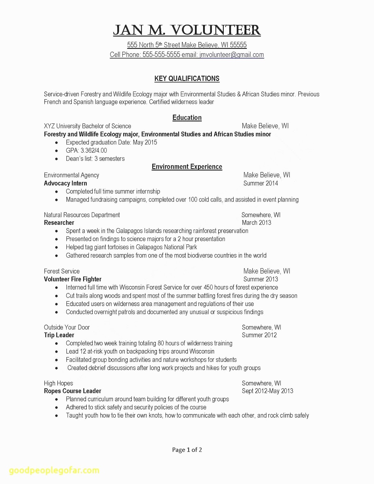 Safety Director Resume Summary 2019 Safety Director Resume Sample 2020