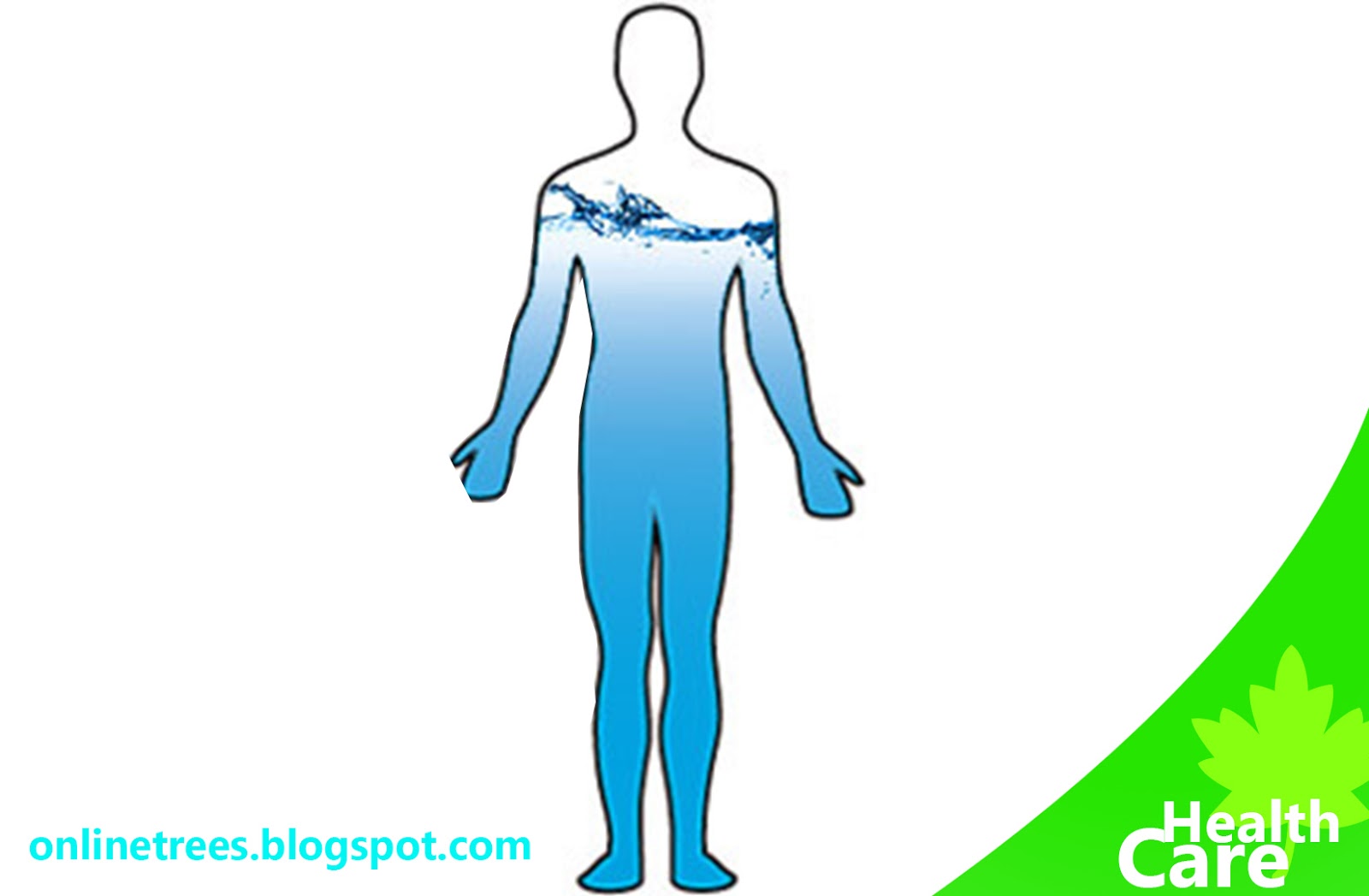 Water in the body - HEALTH CARE TIPS