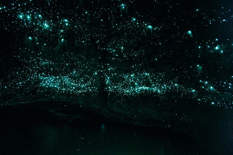 Waitomo Glowworm Caves, New Zealand (with Map & Photos)